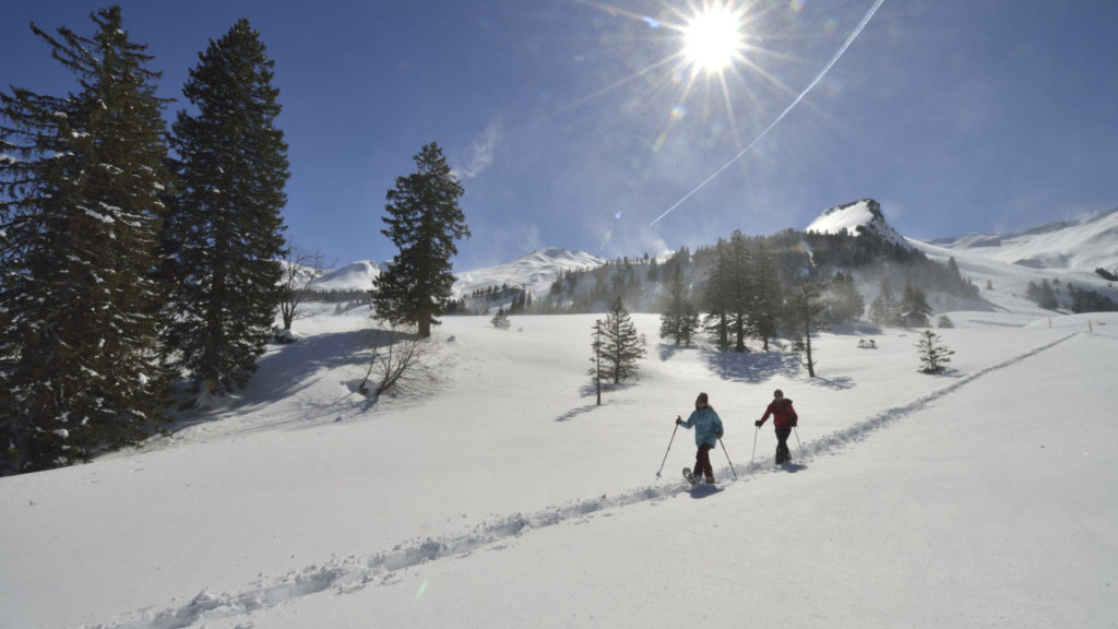 Schneeschuhwandern • Stoos