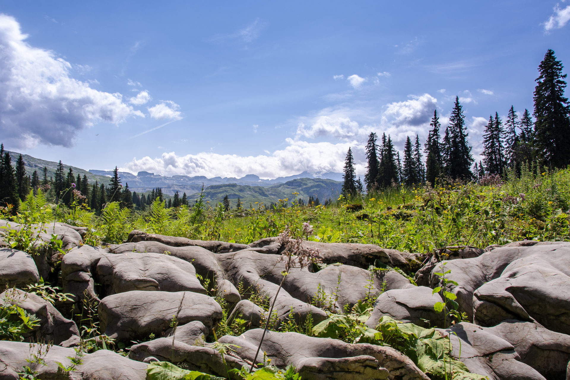 Muotathal - EIn Dorf mit einzigartiger Natur und Bergkulissen